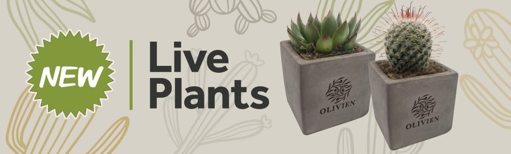 Promotional Plants & Branded Seeds | Eco Products | Sow Easy