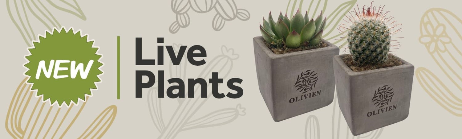 Promotional Plants & Branded Seeds | Eco Products | Sow Easy