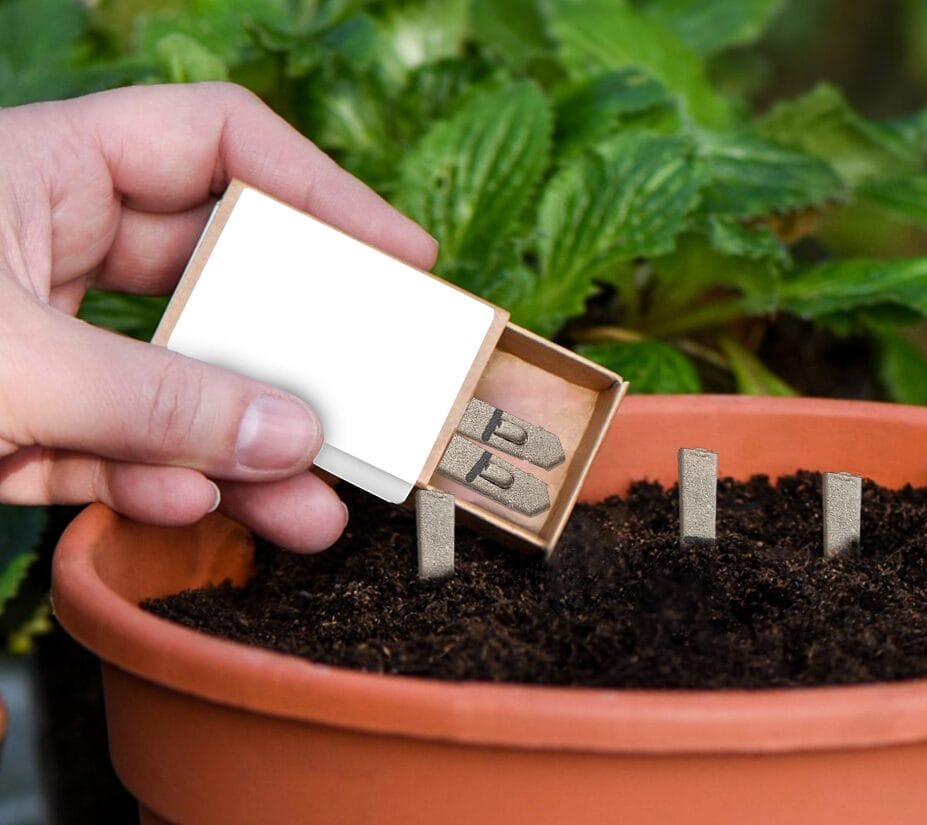 Matchbox Seedsticks | Plantable Promotional Products Supplier ...